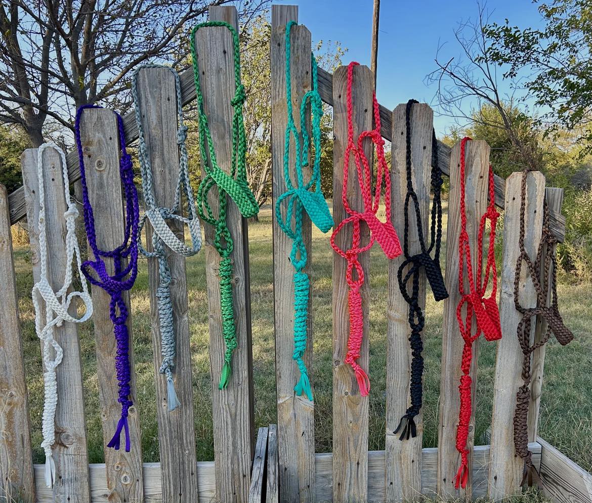 Solid flat nose Mule tape halters – JaysCustom Tack